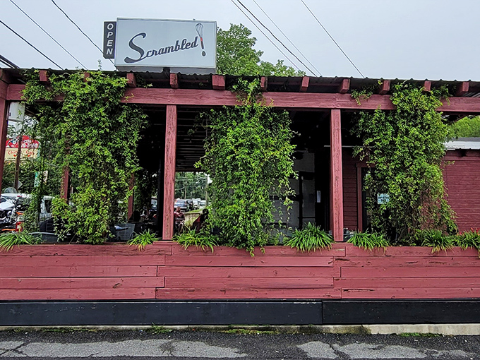 That charming red exterior with cascading vines whispers "breakfast magic awaits" louder than any neon sign ever could.