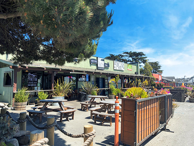 Picnic tables and coastal plants create the perfect laid-back vibe&mdash;like your coolest friend's backyard, if your friend happened to serve incredible seafood.