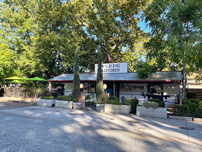 The entrance to Wild Fig Kitchen beckons with tall cypress sentinels standing guard, promising culinary adventures behind that unassuming country-chic facade.
