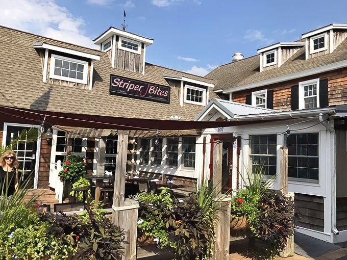 The coastal charm of Striper Bites welcomes you with weathered cedar shingles and a cozy porch&mdash;like a postcard from seafood heaven come to life.