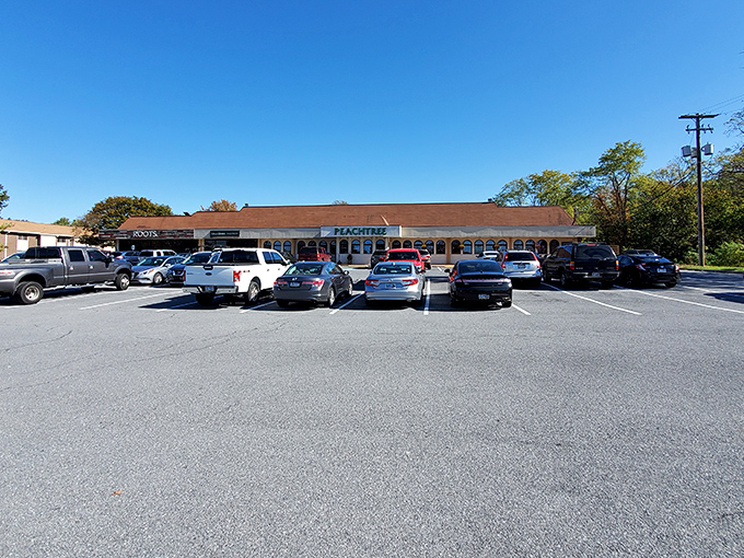 The glowing Peachtree sign beckons like a lighthouse for hungry souls. Even at night, this unassuming strip mall gem promises culinary treasures within.