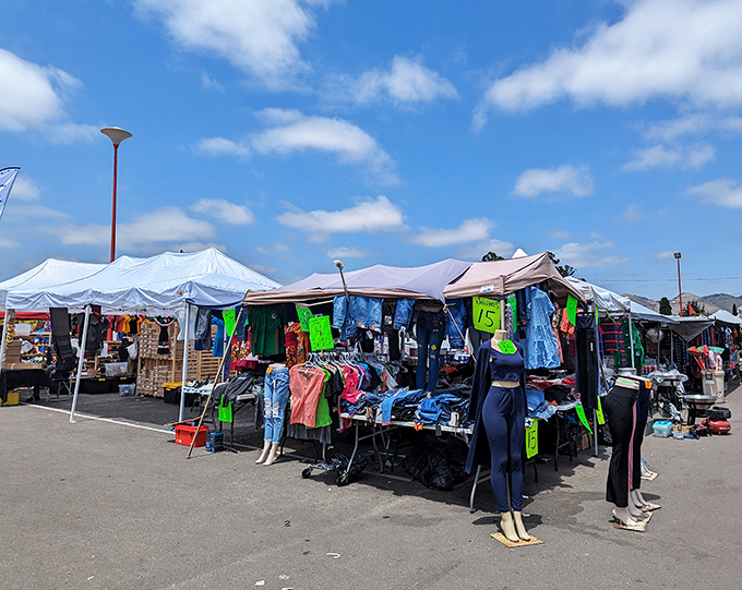 A colorful array of clothing beckons under blue skies &ndash; California's version of a department store, minus the muzak.