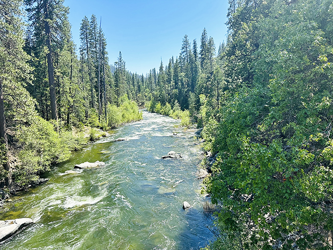 The Stanislaus River flows through the park like a liquid highway, carrying stories from the mountains.