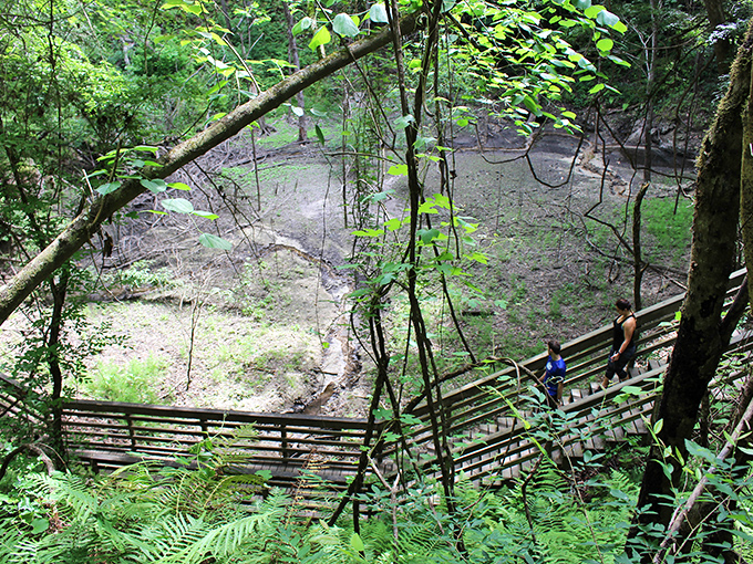 Nature's grand amphitheater awaits! The sinkhole's lush greenery creates a stark contrast to Florida's typical landscape, like finding Seattle in the Sunshine State.
