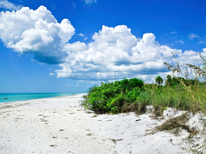 Paradise found: Don Pedro's pristine shoreline stretches into the distance under a canopy of perfect Florida clouds, nature's own screensaver come to life.