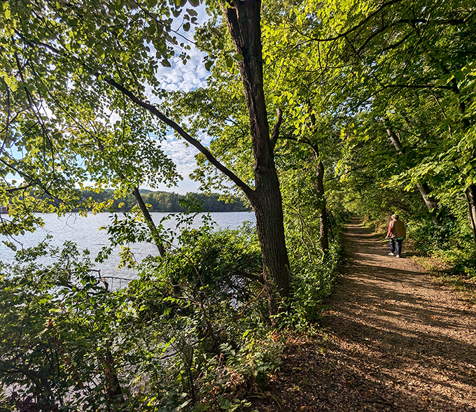 The Rock River valley unfolds like nature's welcome mat, with lush greenery stretching to the horizon. Illinois topography that defies the "flat state" stereotype.