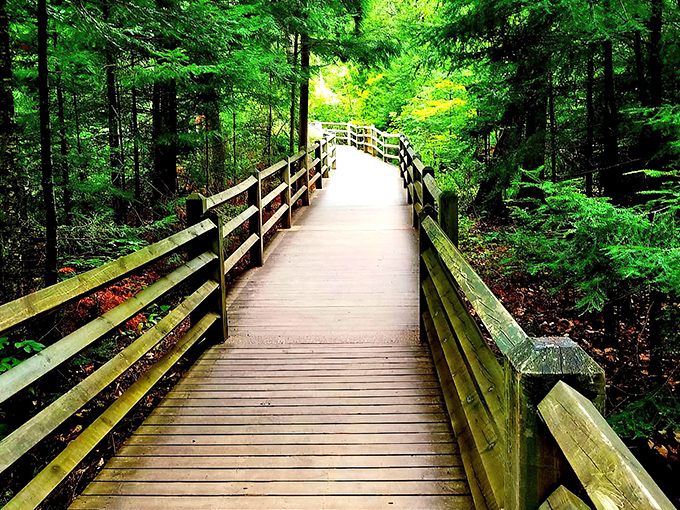 Nature's welcome mat unfurls along this wooden boardwalk, inviting you into a cathedral of green where sunlight plays hide-and-seek through the canopy.
