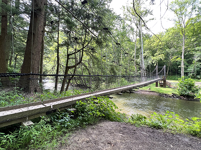 This suspension bridge isn't just a crossing&mdash;it's an invitation to adventure, swaying gently as you venture deeper into Mohican's emerald heart.