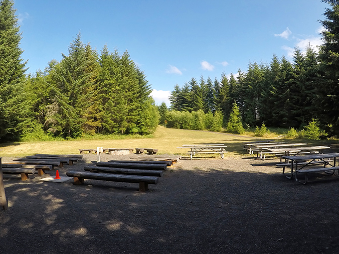 The park's amphitheater area offers log seating and a fire pit&mdash;nature's version of dinner theater, minus the overpriced drinks.