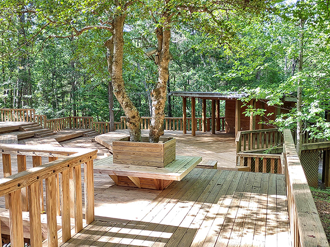 This wooden deck nestled among towering trees offers a peaceful retreat where nature provides better entertainment than anything on your streaming services.