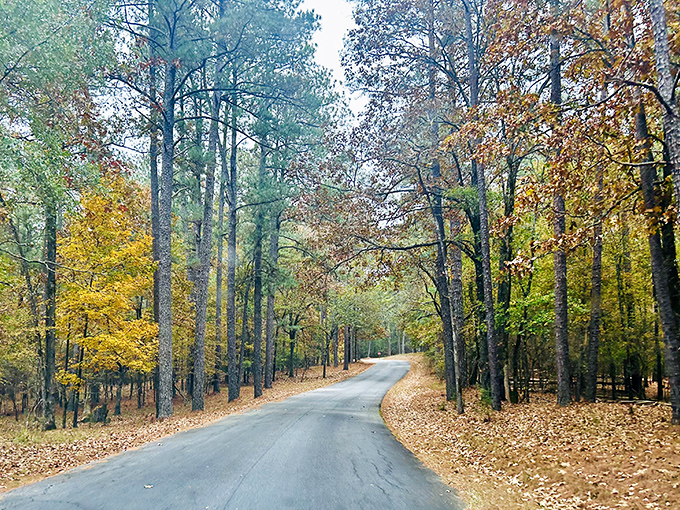 Fall arrives at Baker Creek like nature's own fireworks display, minus the noise complaints.