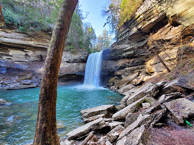 Nature's perfect plunge pool awaits at Savage Gulf. This waterfall doesn't just cascade&mdash;it performs, creating an emerald swimming hole worthy of a travel magazine cover.