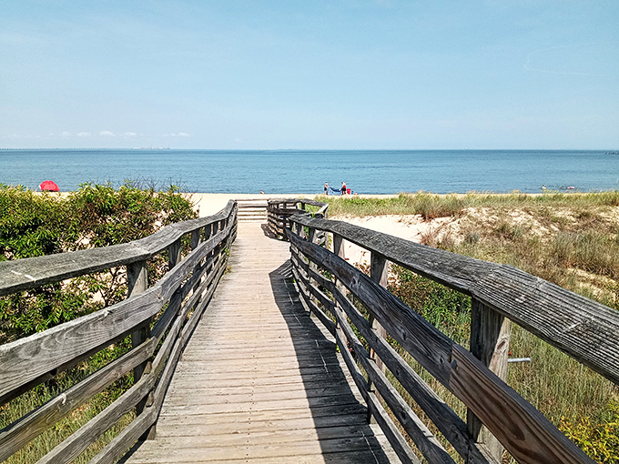 The visitor center welcomes explorers with nautical charm—those ceiling decorations aren't just for show, they're setting the coastal mood before your adventure begins.