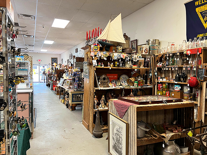 A treasure hunter's paradise where time stands still – display cases filled with memories waiting to be rediscovered and stories waiting to be retold.