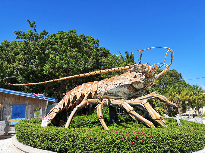 Betsy the Lobster stands proudly against the Florida sky, her massive antennae reaching skyward like she's trying to catch alien broadcasts from her crustacean homeland.