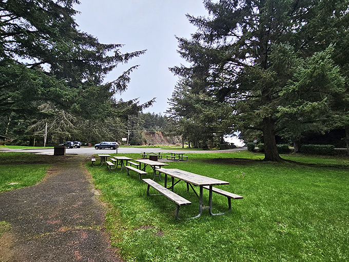 Picnic tables waiting patiently under towering evergreens &ndash; nature's dining room where the only reservation needed is your sense of adventure.