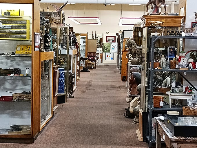Every aisle offers a new adventure. Glass cases protect treasures while wooden cabinets stand sentinel, guarding memories of America's living rooms past.