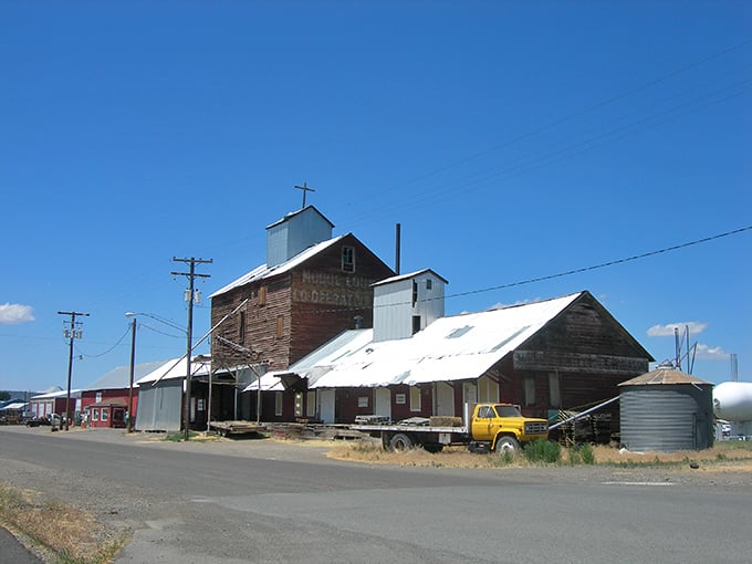 This weathered grain silo stands as a rustic reminder of Alturas' agricultural roots and the hard work that built this community.