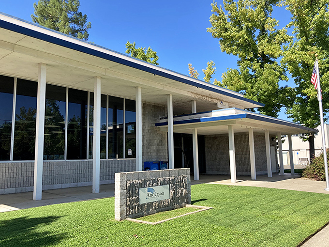 Anderson's public library offers adventures that don't require subscriptions, data plans, or software updates &ndash; just a curious mind.