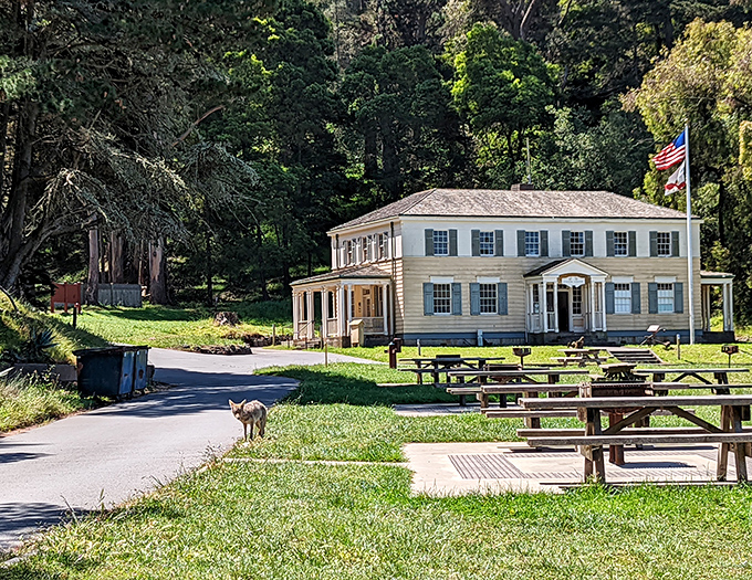 The Immigration Station stands as America's "Ellis Island of the West," where walls still whisper stories of hope, heartbreak, and perseverance.