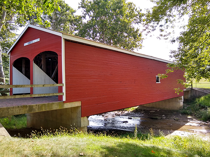 The creek view from underneath proves that bridges look just as photogenic from below.