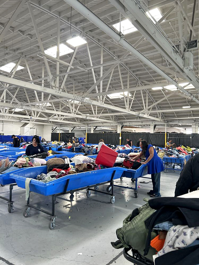 The blue bin battalion stands ready for the next wave of determined shoppers. The thrill of the hunt is palpable.