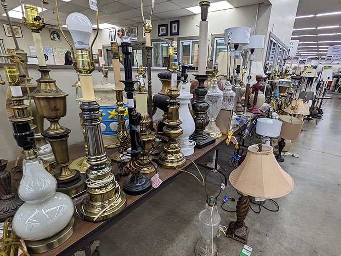 Lamp central &ndash; where lighting fixtures from elegant to eccentric stand at attention, ready to brighten corners and reading nooks alike.