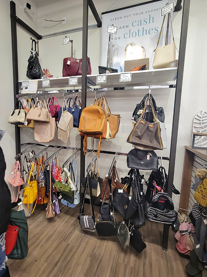 Handbag heaven for the budget-conscious fashionista. Coach, Michael Kors, and Kate Spade waiting to be adopted at foster care prices.