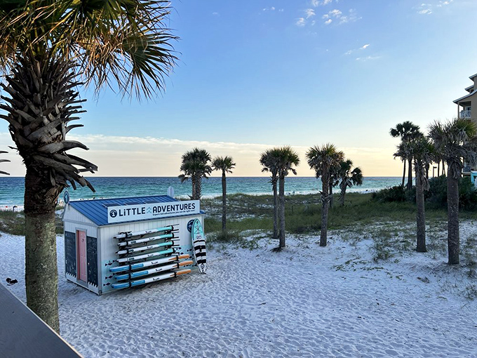 "Little Adventures" beach rental stand proves the best things in Florida come in small packages&mdash;except for the memories, which are enormous.