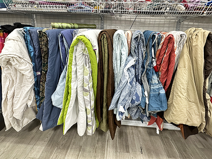 Comforters and quilts lined up like colorful flags, each representing the nation of Cozy with varying degrees of patriotic enthusiasm.