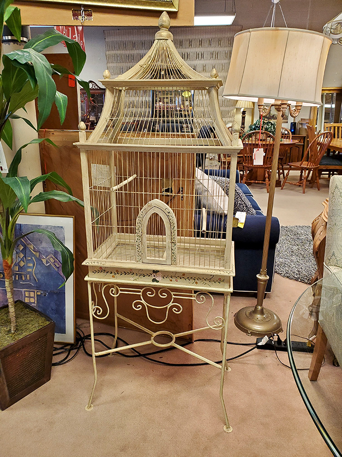 This ornate birdcage isn't just decorative&mdash;it's waiting to become the conversation piece your entryway has been missing all these years.