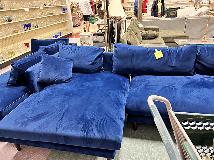 That blue velvet sectional isn't just a sofa&mdash;it's your next Netflix binge headquarters waiting to happen.