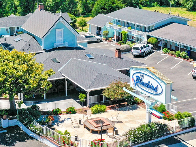 The Bluebird Inn's cheerful blue exterior promises the kind of restful sleep that big city hotels spend millions trying to replicate.