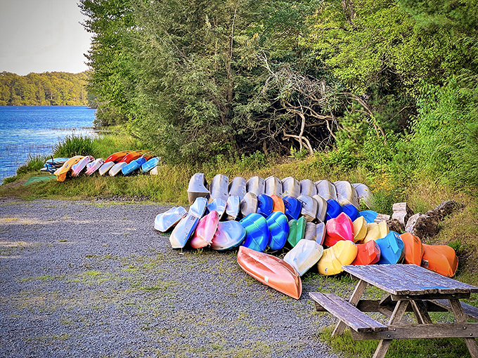 A rainbow armada of kayaks awaits your adventure. Like a candy store for outdoor enthusiasts&mdash;pick your color and paddle into serenity.
