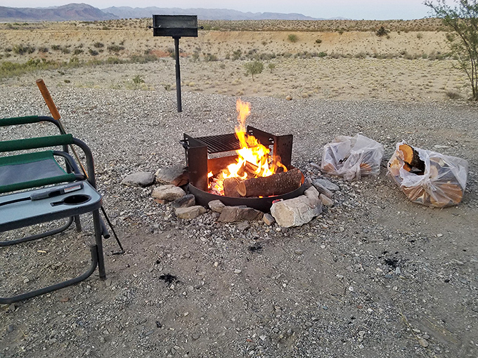 Primal television: Desert campfires offer better entertainment than anything streaming, with stars providing the ultimate surround sound experience.