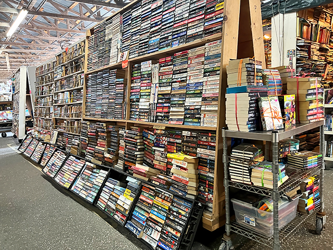 A bibliophile's fantasy land where thousands of books create walls of possibility, each spine a doorway to another world.