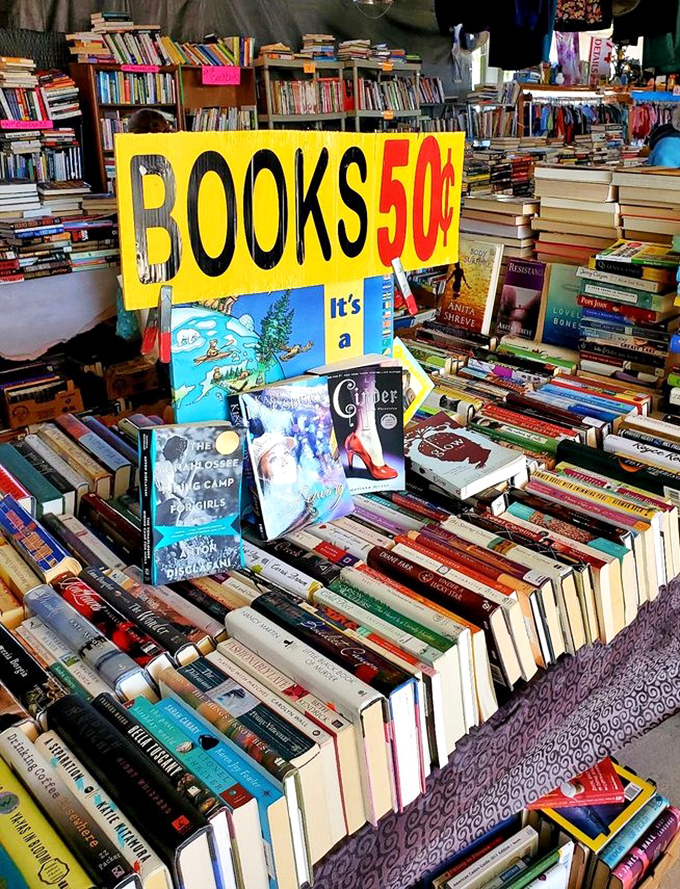 Literary paradise at pocket-change prices &ndash; where fifty cents buys you someone else's adventure, romance, or self-improvement journey.