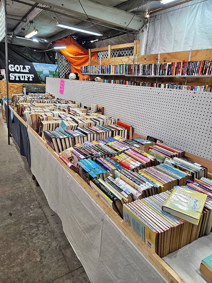 Books stacked with the precision of literary Jenga—somewhere in these piles is that paperback you've been hunting for since 1987.