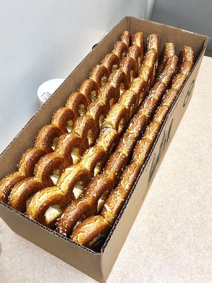 A cardboard treasure chest filled with twisted gold. This box contains enough carb-loaded joy to make even the gluten-free weep with envy.