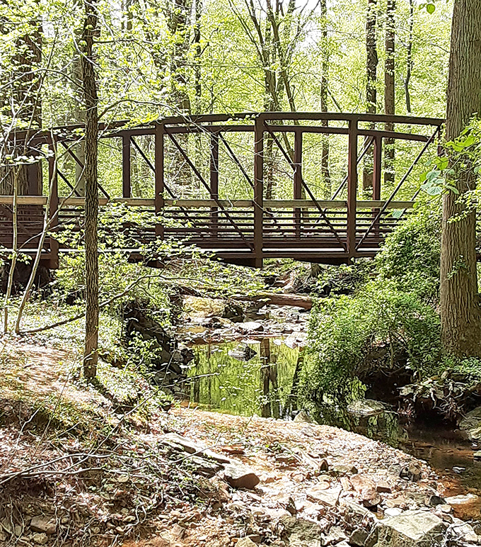 This charming footbridge seems plucked from a storybook, connecting not just two banks but perhaps two different states of mind.
