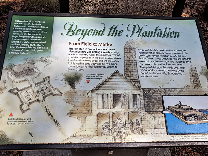 History illustrated brings the past to life. This interpretive panel reveals how sugar and cotton once traveled from plantation to market via the same waterways you can paddle today.