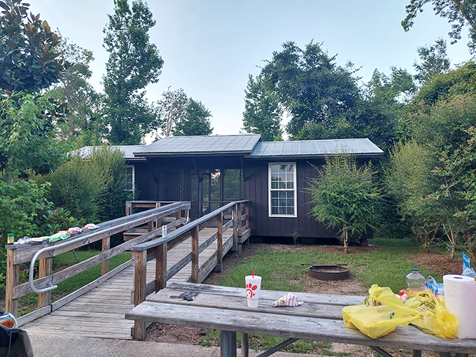 Rustic comfort in the wilderness. This cabin doesn't have penthouse views, but offers something better&mdash;genuine forest immersion.