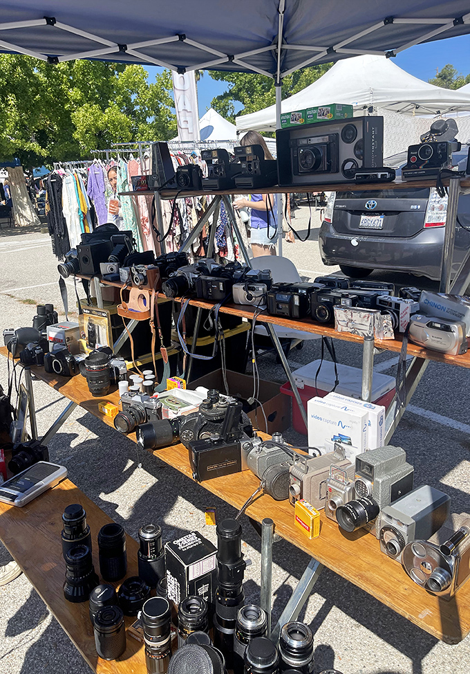 A photographer's dream or a hipster's heaven? These vintage cameras captured someone else's memories and are ready to witness yours.