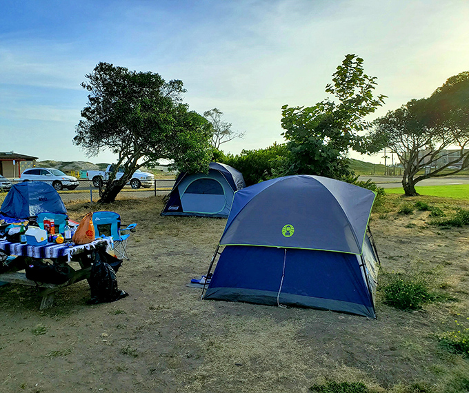 Camping sites where falling asleep to crashing waves becomes your new favorite lullaby.