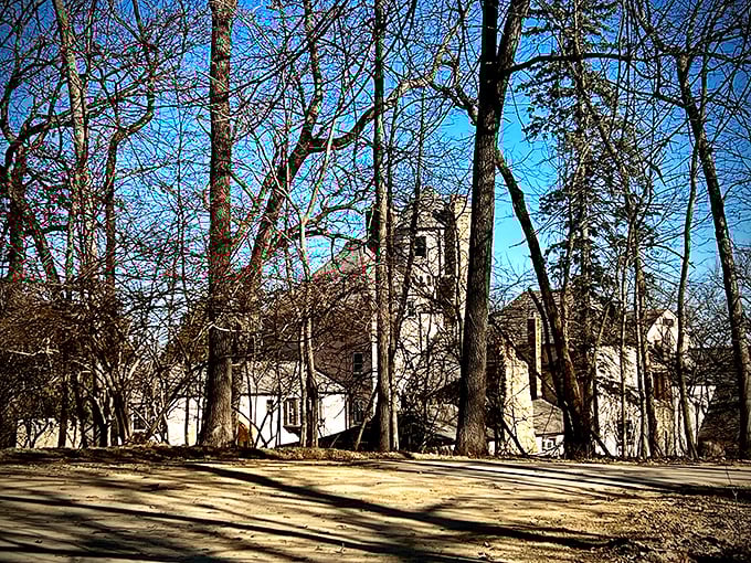 Glimpsed through winter trees, the castle's silhouette has the mysterious quality of a forgotten fortress waiting to be rediscovered.