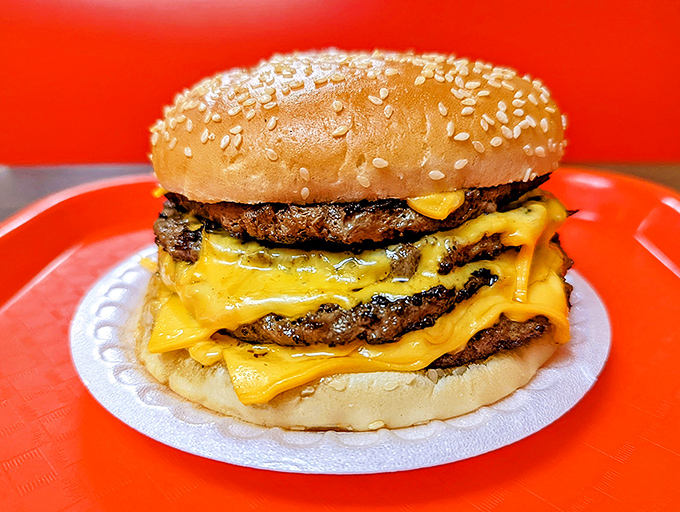 When a cheeseburger looks this good, you know you're not in fast-food territory anymore. This is burger artistry at its finest.