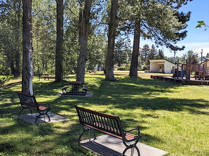 Chester Park offers the simple luxury of sitting beneath towering pines, where the entertainment is watching shadows dance across perfectly maintained grass.