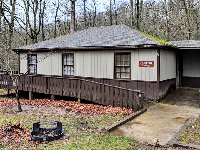 Chestnut Lodge offers rustic charm with modern amenities, proving that roughing it doesn't require actual suffering.