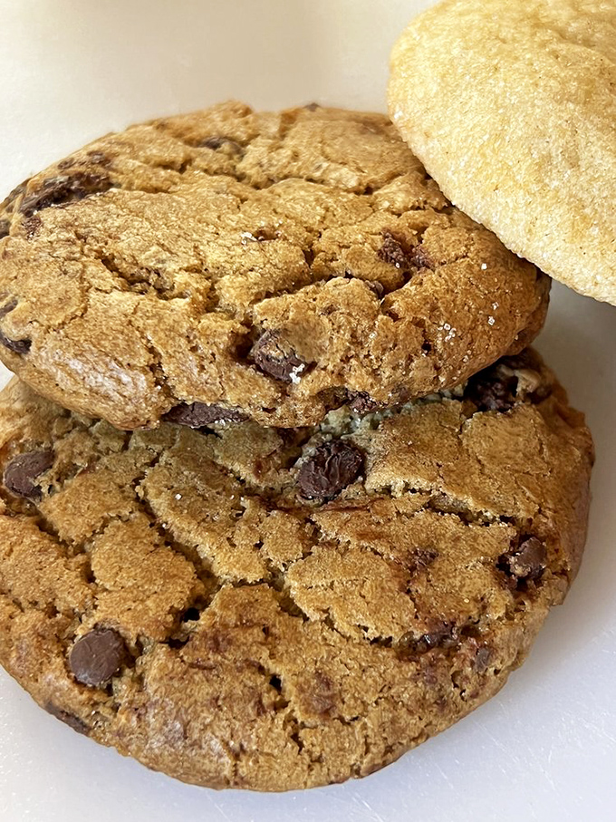 This chocolate chip cookie has more personality than most people I know. Those melty chocolate pockets are where dreams live.