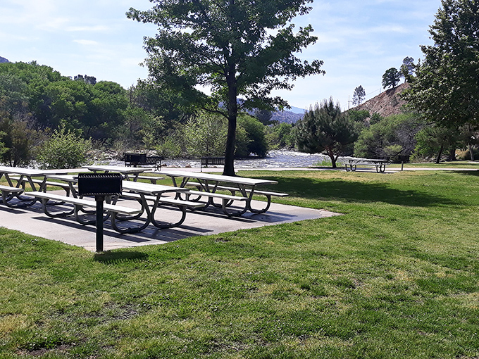 Circle Park's picnic tables and BBQ grills await family gatherings where three generations can argue about proper burger-flipping techniques.